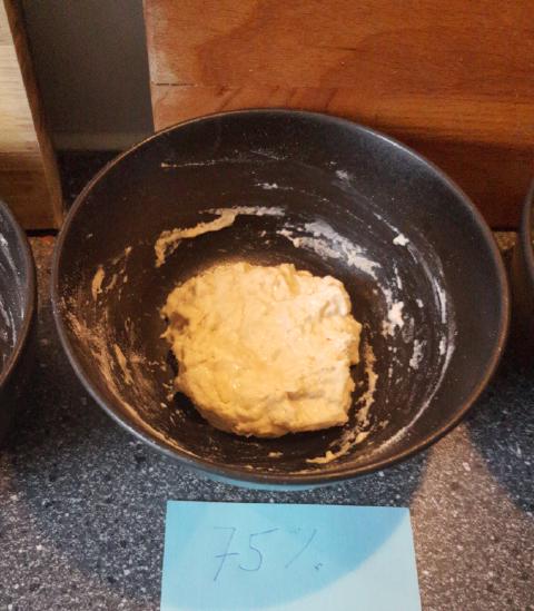 Experimenting with flour hydration levels